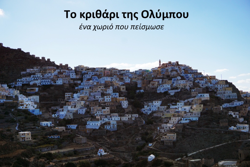 Το κριθάρι της Ολύμπου, ένα χωριό που πείσμωσε. - ΠΕΛΙΤΙ